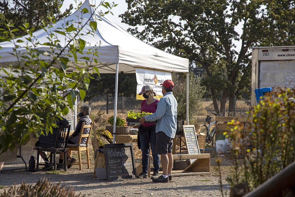 Thanks for Making Our 2021 Fall Plant Sale a Success - Petaluma Bounty