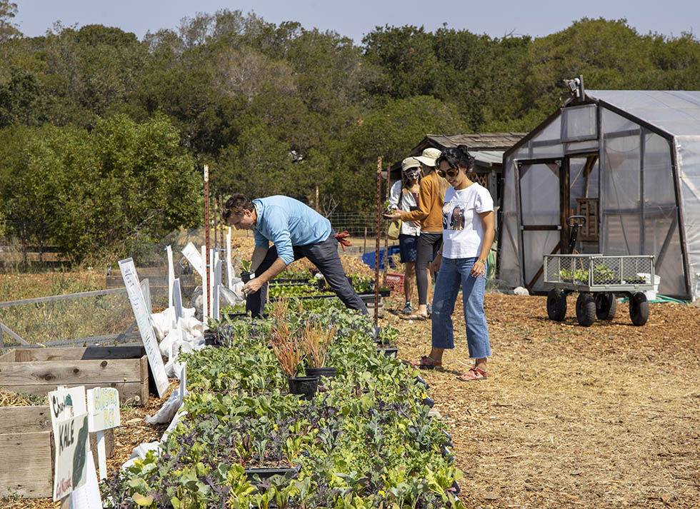 Bounty Plant Sale - Petaluma Bounty