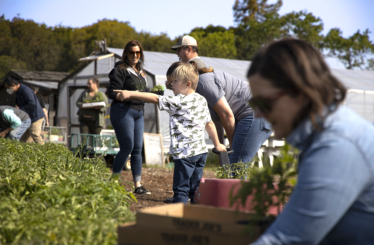 Petaluma Bounty Plant Sale - Petaluma Bounty
